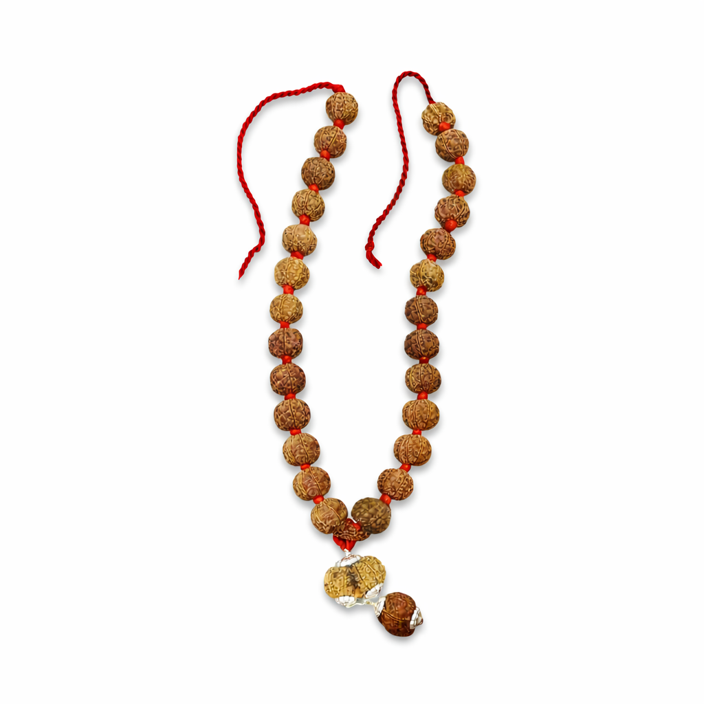 Sarv Siddh Rudraksha Mala (27+1 Beads) | Sanatan Kavach – Aakuraa.com